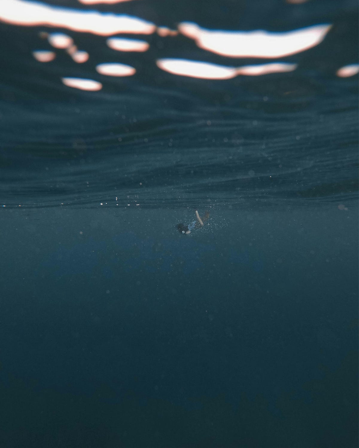 The Paradox of Knowing Nothing. My Life & Learning — Log #001: The ...