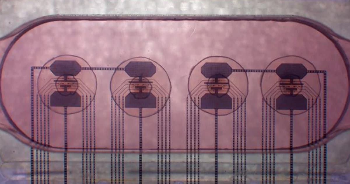 Living Computers: A Biocomputing Breakthrough | Future Nexus