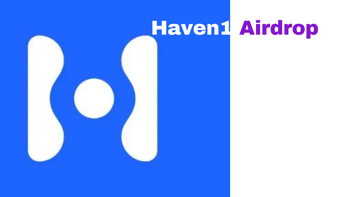 Haven1 Airdrop for TestNet. Step-by-Step Guide | by Ola Elvin | Medium
