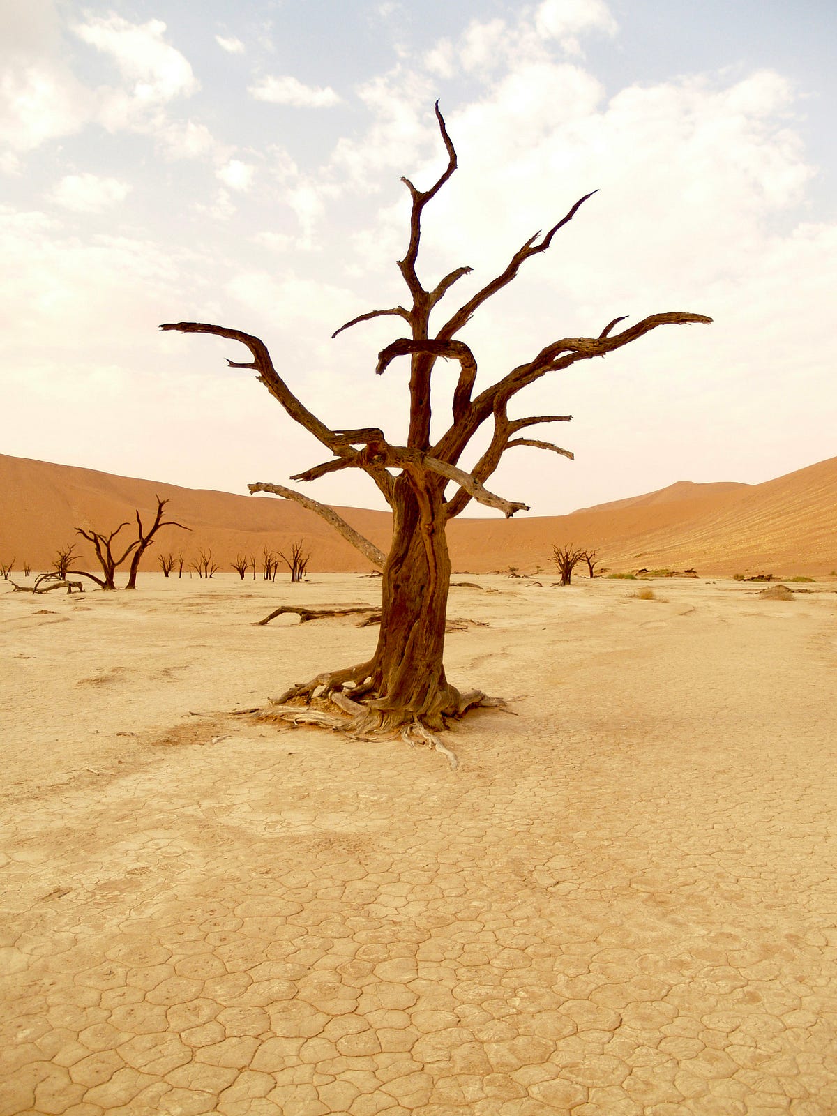 How Close Are We to Climate Catastrophe? | by Ricky Lanusse | The New Climate. | Medium