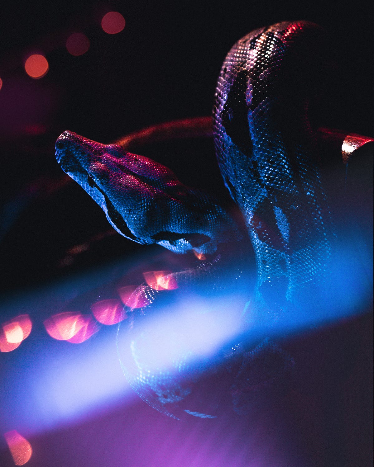 How SAS Users should Think about Python | by John Curry | TDS Archive ...