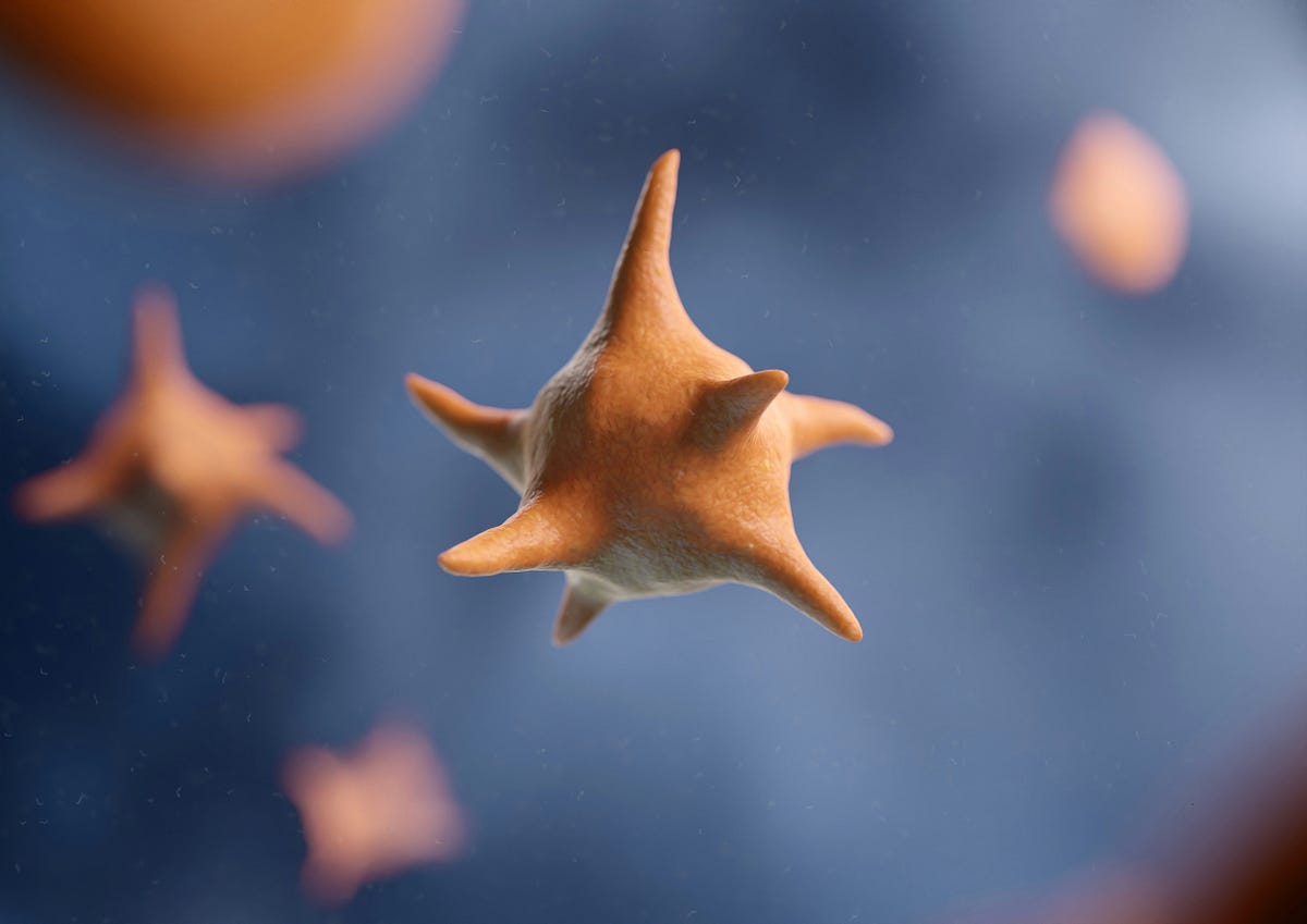 Proven Ways to Increase Platelets Naturally and Quickly at Home | Medium