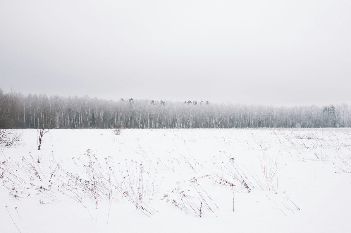 Postcards from Nowhere. Surviving the Storm: Lessons in… | by CP Ryder | May, 2025 | Medium