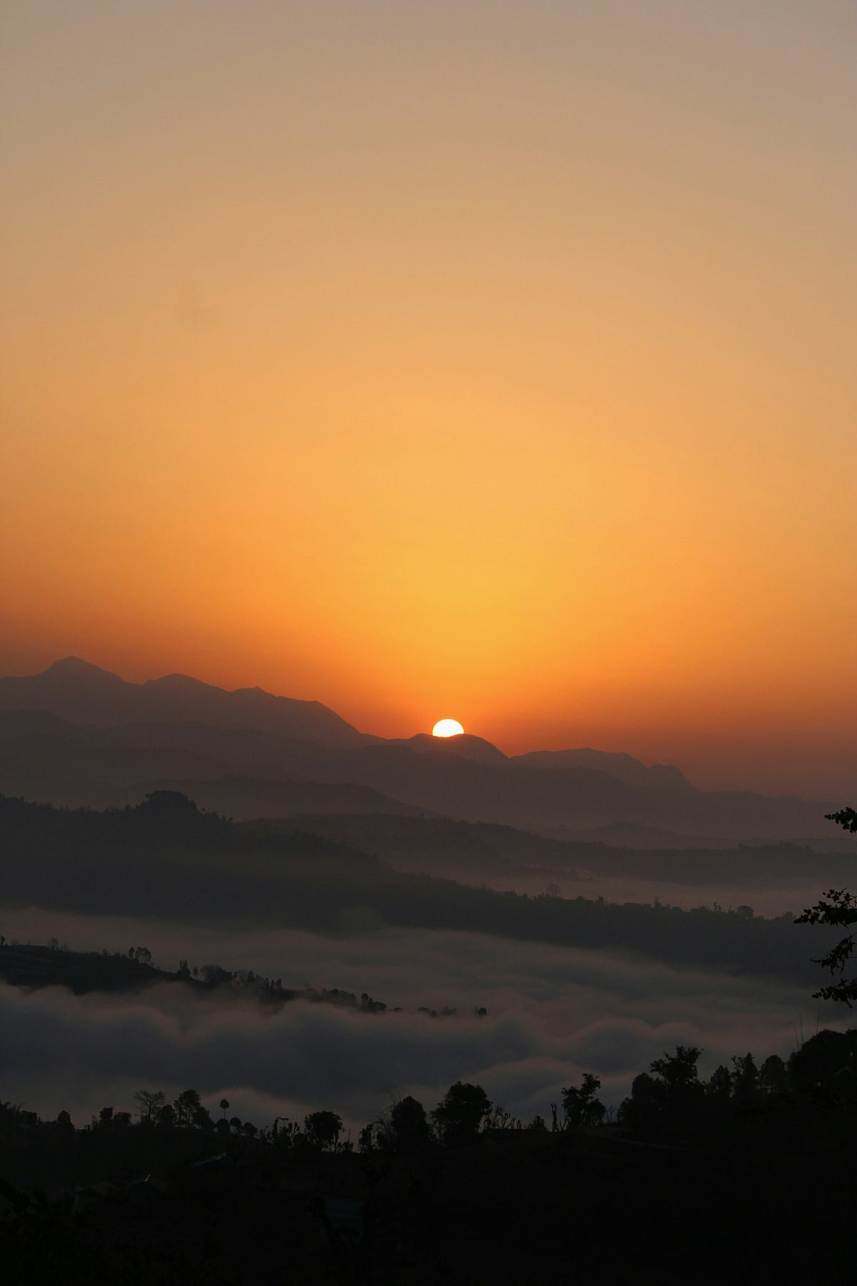 Passing Down Gratitude. Reflections on what truly makes life… | by Anna Salazar | Contemplate ...