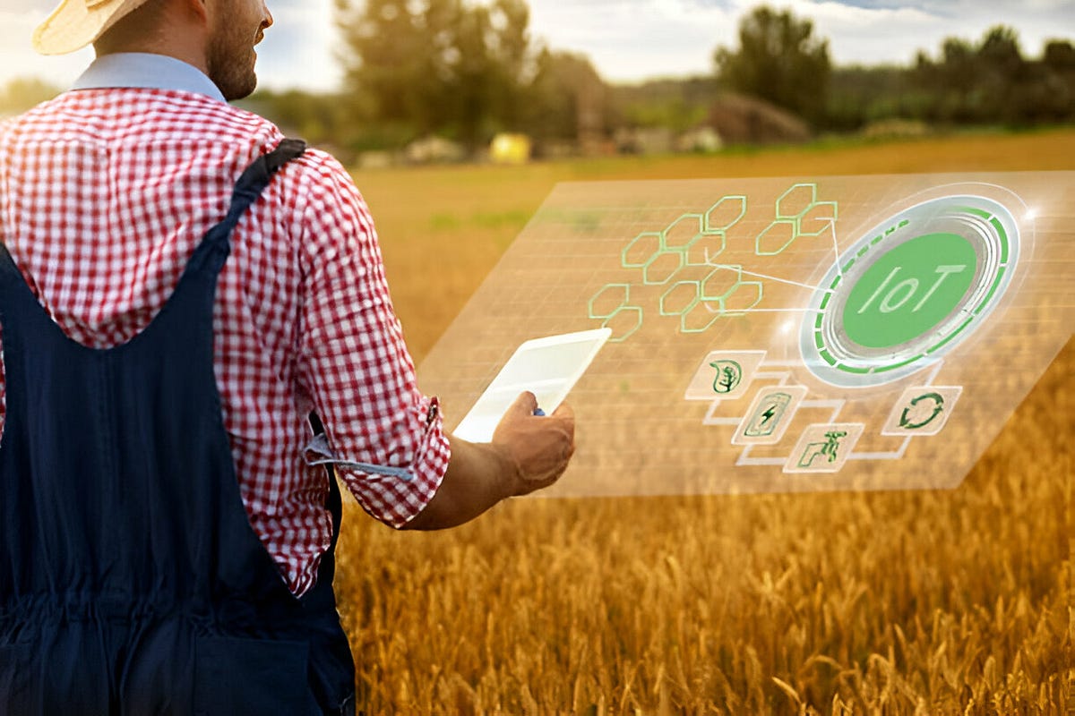 From Soil to Harvest: Optimizing Farmland for Maximum Yield | by ...