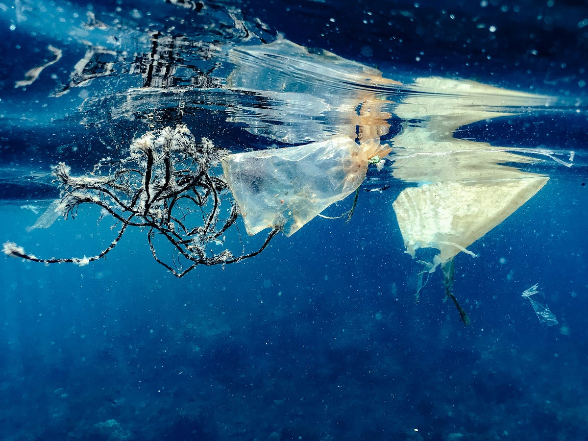 Earth’s Magnificent Oceans Have Been Fouled by the Plastic Waste of ...