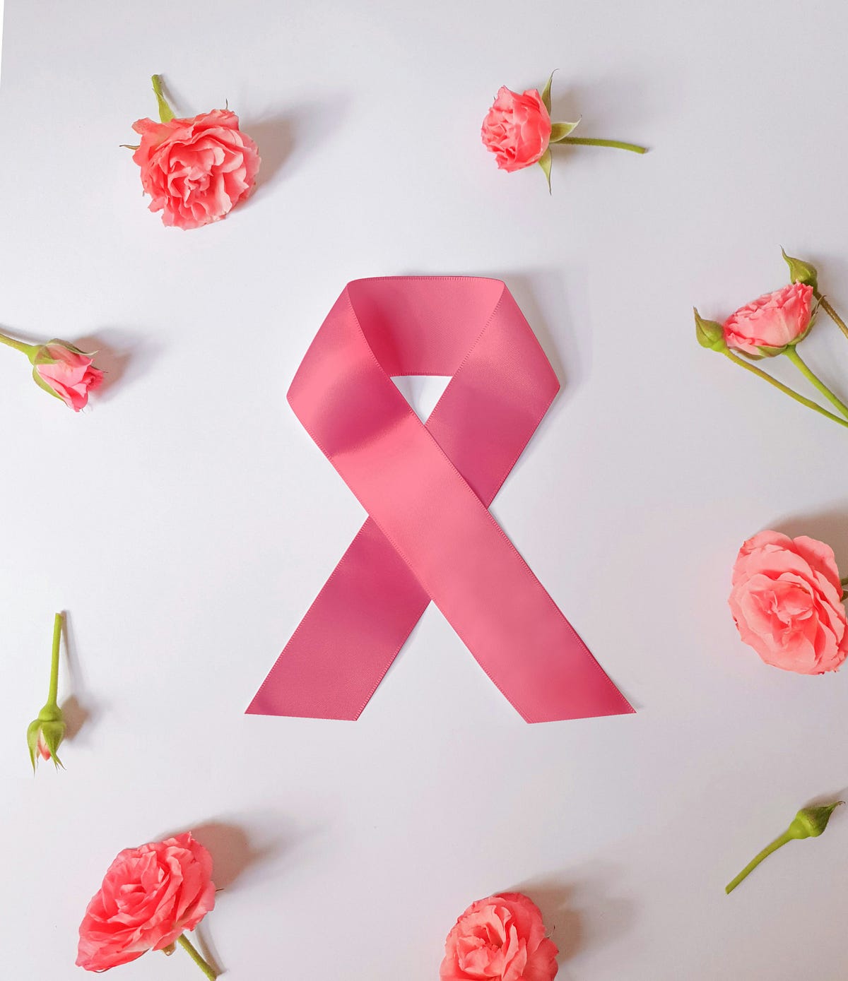 Cervical Cancer Diagnosis with Machine Learning: Part 2 — Training | by Maitreyee Likhite | Nov ...