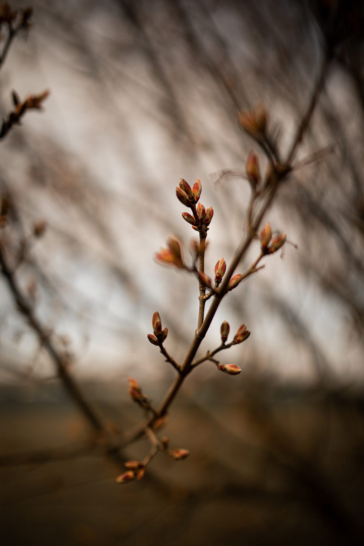 Calloused Heart. Let the days pass by, in bliss, in… | by With Love ...