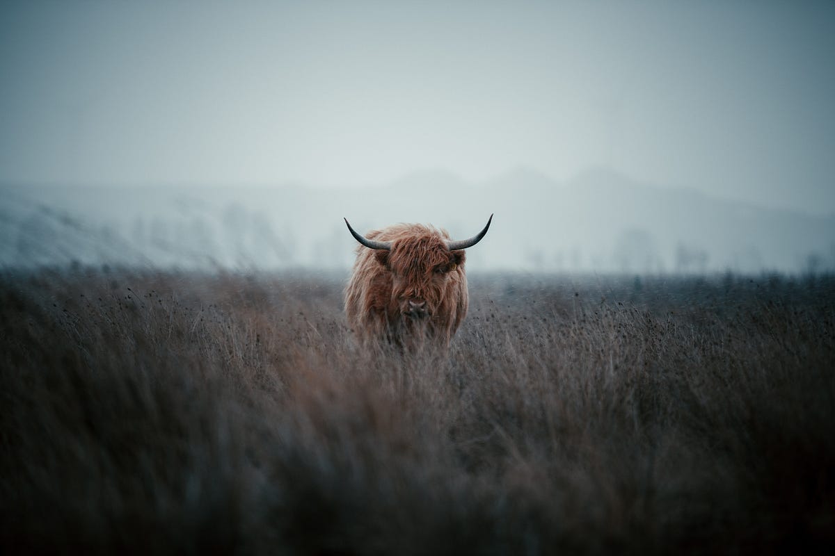 Scalable Sandboxed BullMQ Architecture in TypeScript | by Dan Philip ...