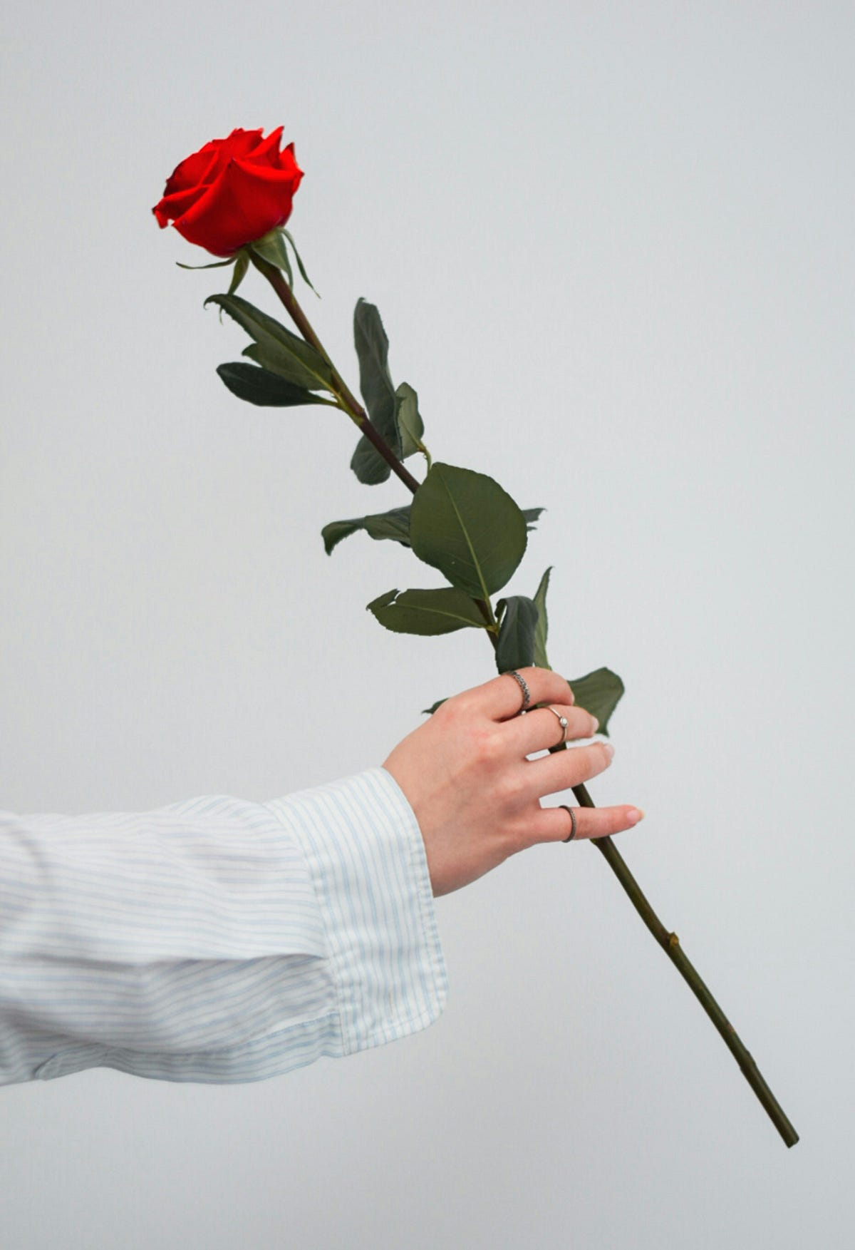 Physically Attractive, Emotionally Taxing | by Ramblin' Point | Jun ...