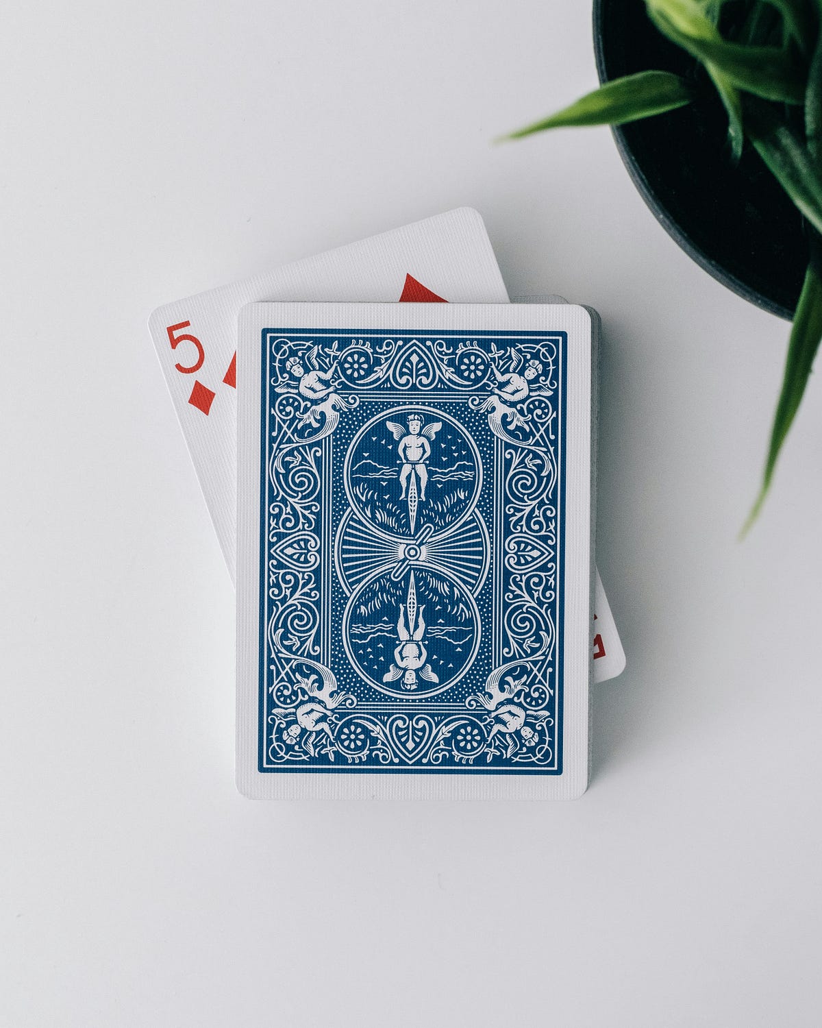 The Legend of Euchre. How my favorite card game immigrated to… | by Jason Boog | Medium