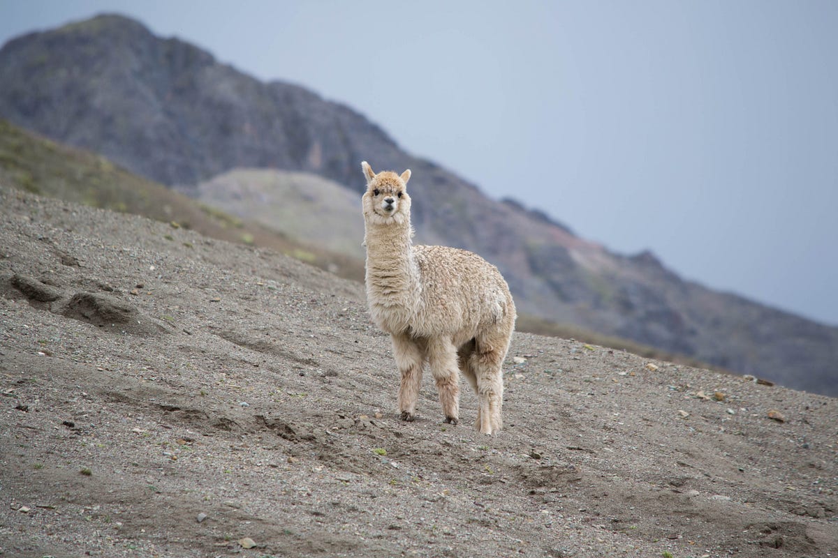 Understanding Generative AI: LlamaIndex, and LangChain | by Ajay Verma ... Understanding Generative AI: LlamaIndex, and LangChain | by Ajay Verma ...