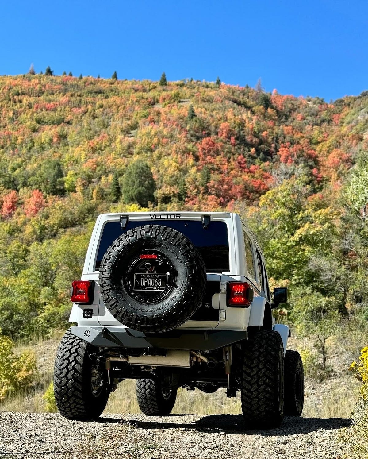The Ultimate Guide to Maximizing Your Ford Bronco with Vector OffRoad’s ...