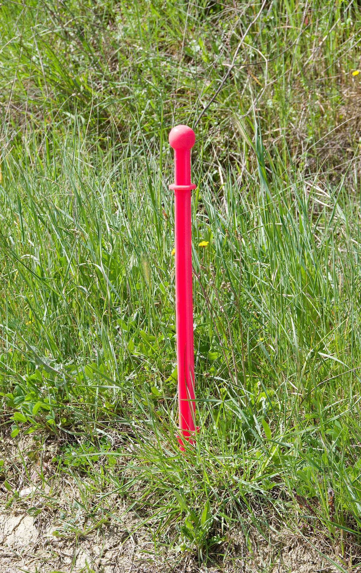 An Emotional Dictionary. Addressing the ways emotions are cycled… | by Nessa Emrys | Sep, 2024 ...