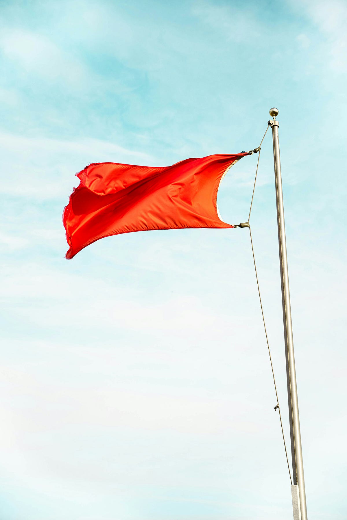 Ignoring Red Flags. Why Some See Stop Signs and Others See… | by ...