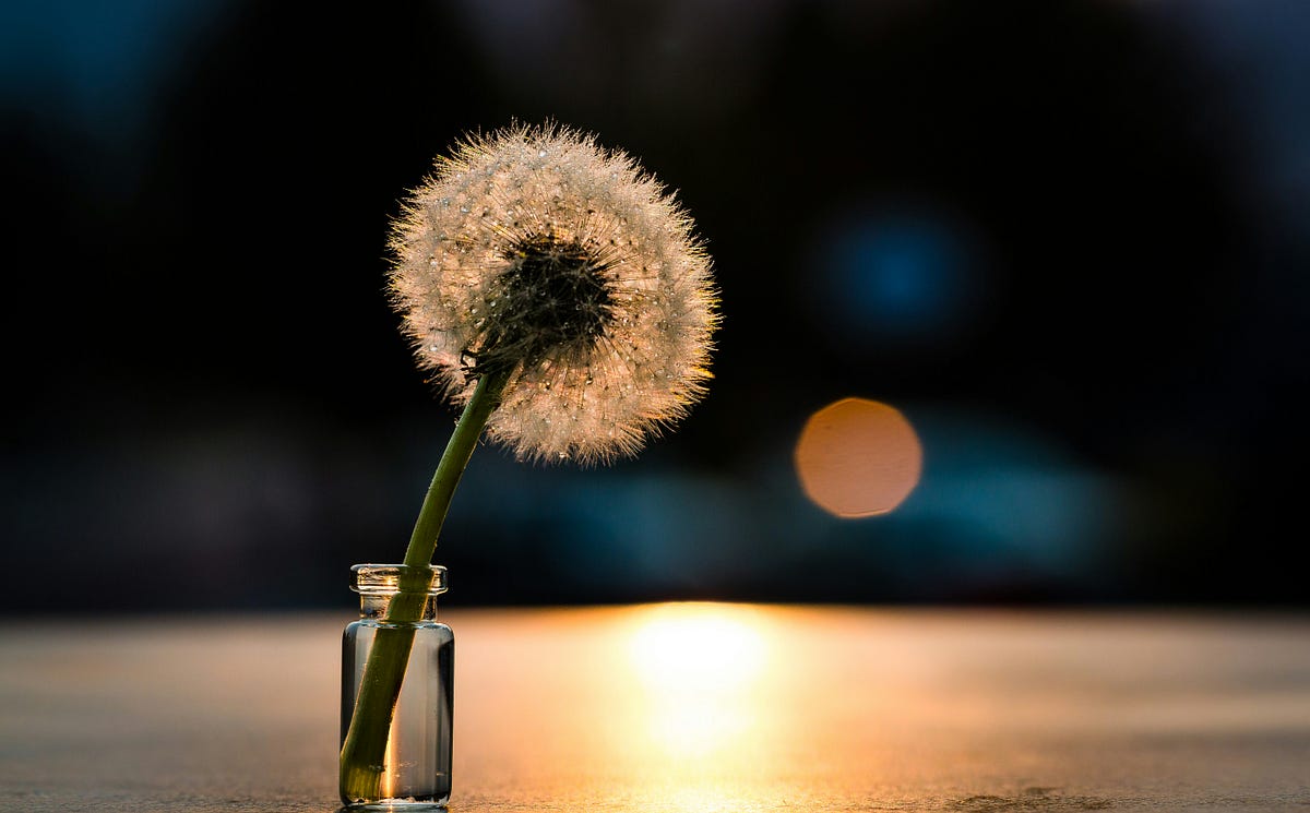 No One Else Could Be You. Choosing Yourself | by Minahal Fatima | A ...