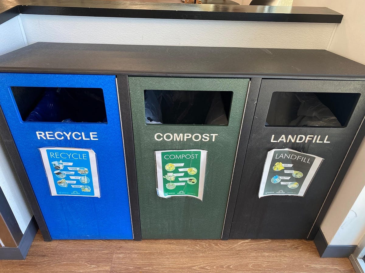 CSUMB’s Big Green Thumb. by Alyssa Lacalamita on April 30 2024 | by ...