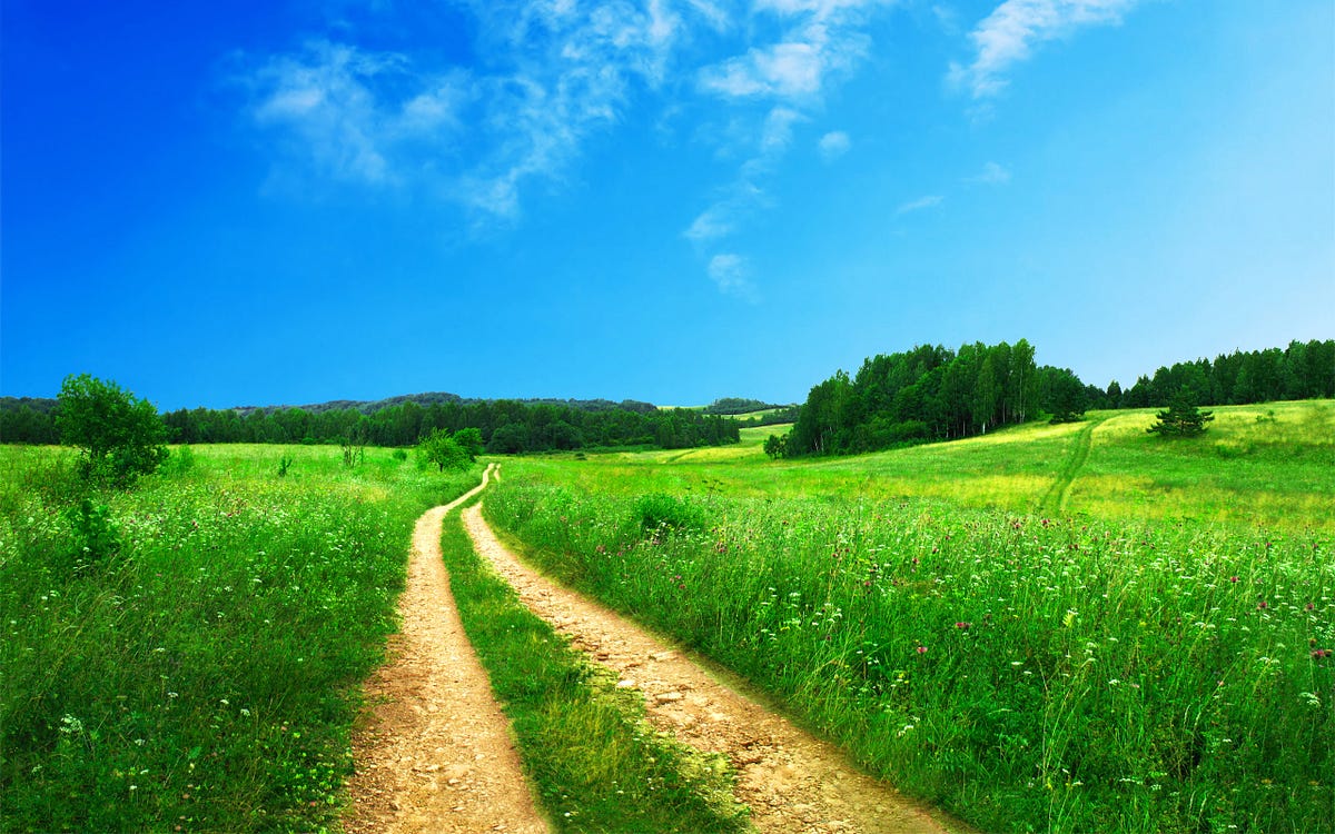 Finding the Path to a Managed Table in Databricks | by Dilorom Abdullah ...