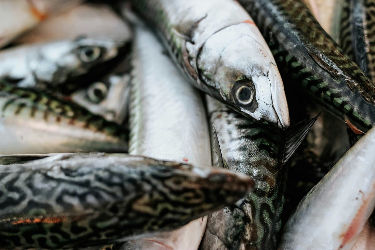 Part 10: The Ship of Living Ice — 3 | by The Figure In White | May ...