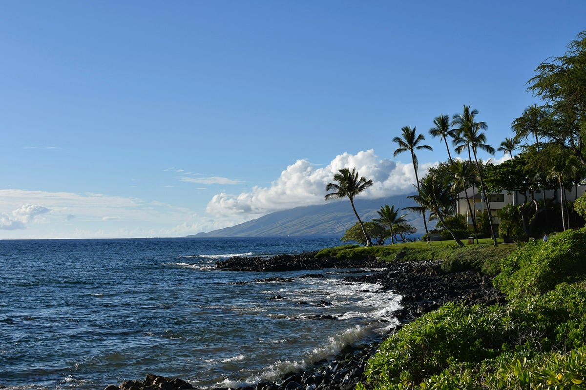 Islands of Imagination - A Tropical Meditation | by Drew Curran | No Time | Sep, 2025 | Medium