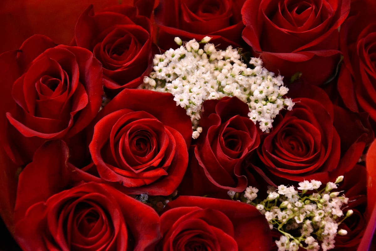 Red Roses - 17 Onji — Haiku, Senryu, and Zappai - Medium