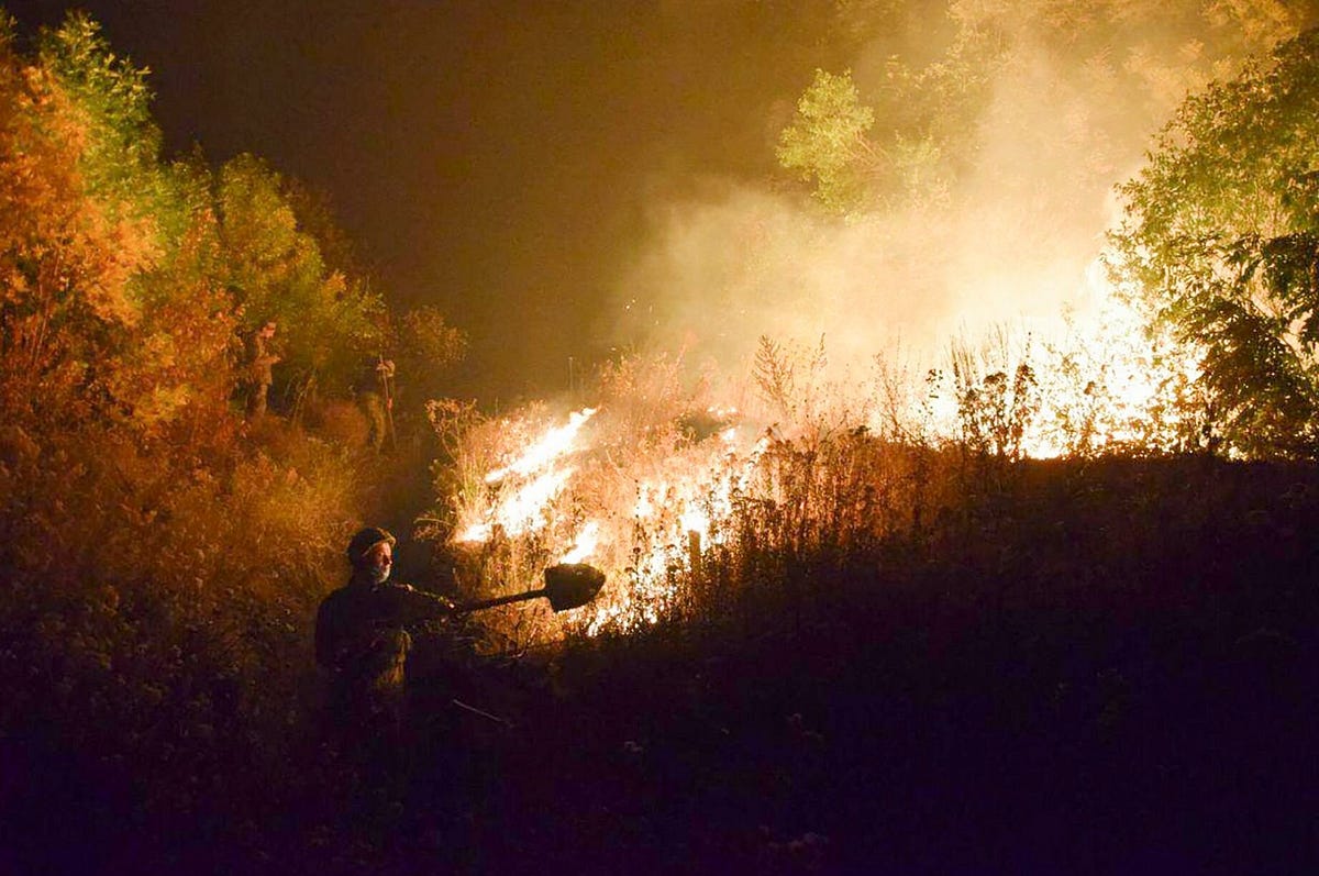 Trenches of Kreminna: The Brutal Fight for Eastern Ukraine | by ...