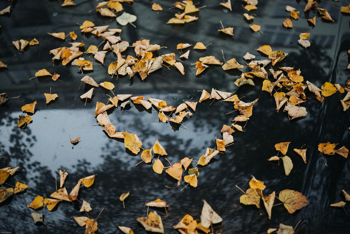 People say you fall in love, but fall is such a sad word when you think ...