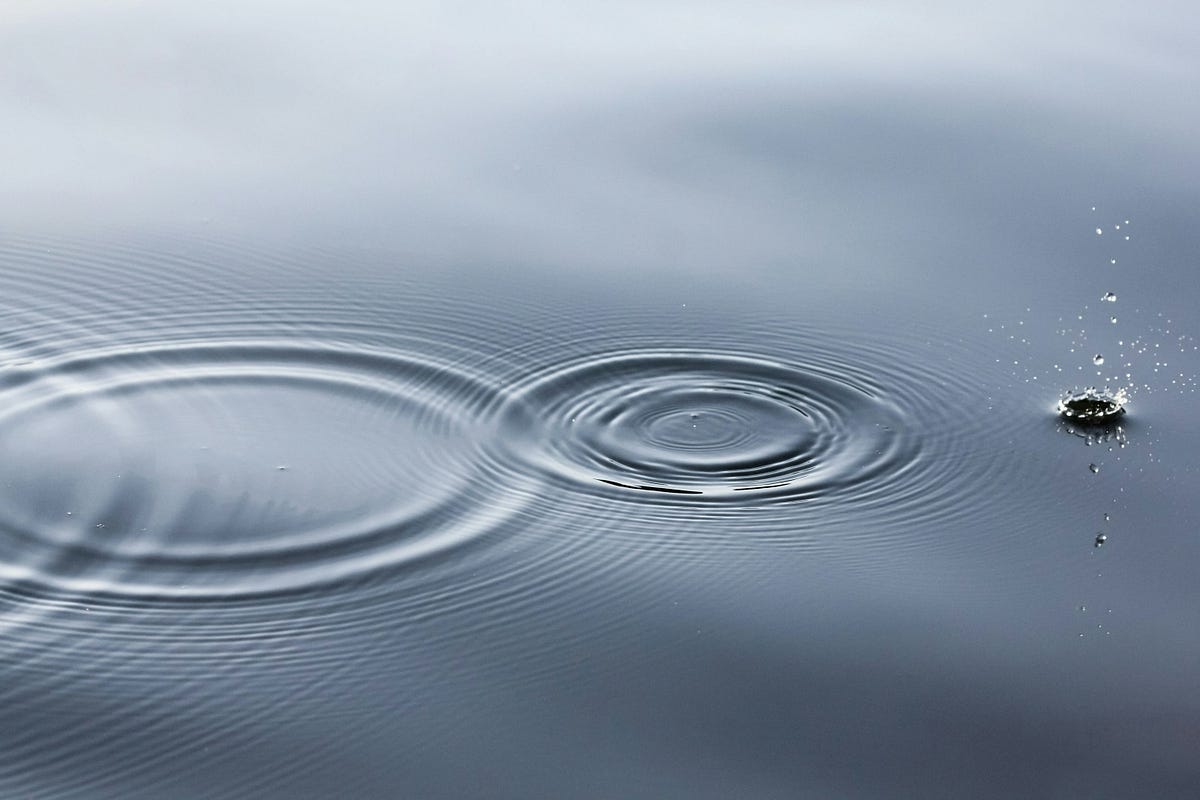 The Beauty in Stillness. My Venture Diary Ep. 22 — When Nothing… | by Janet Tseng | Medium