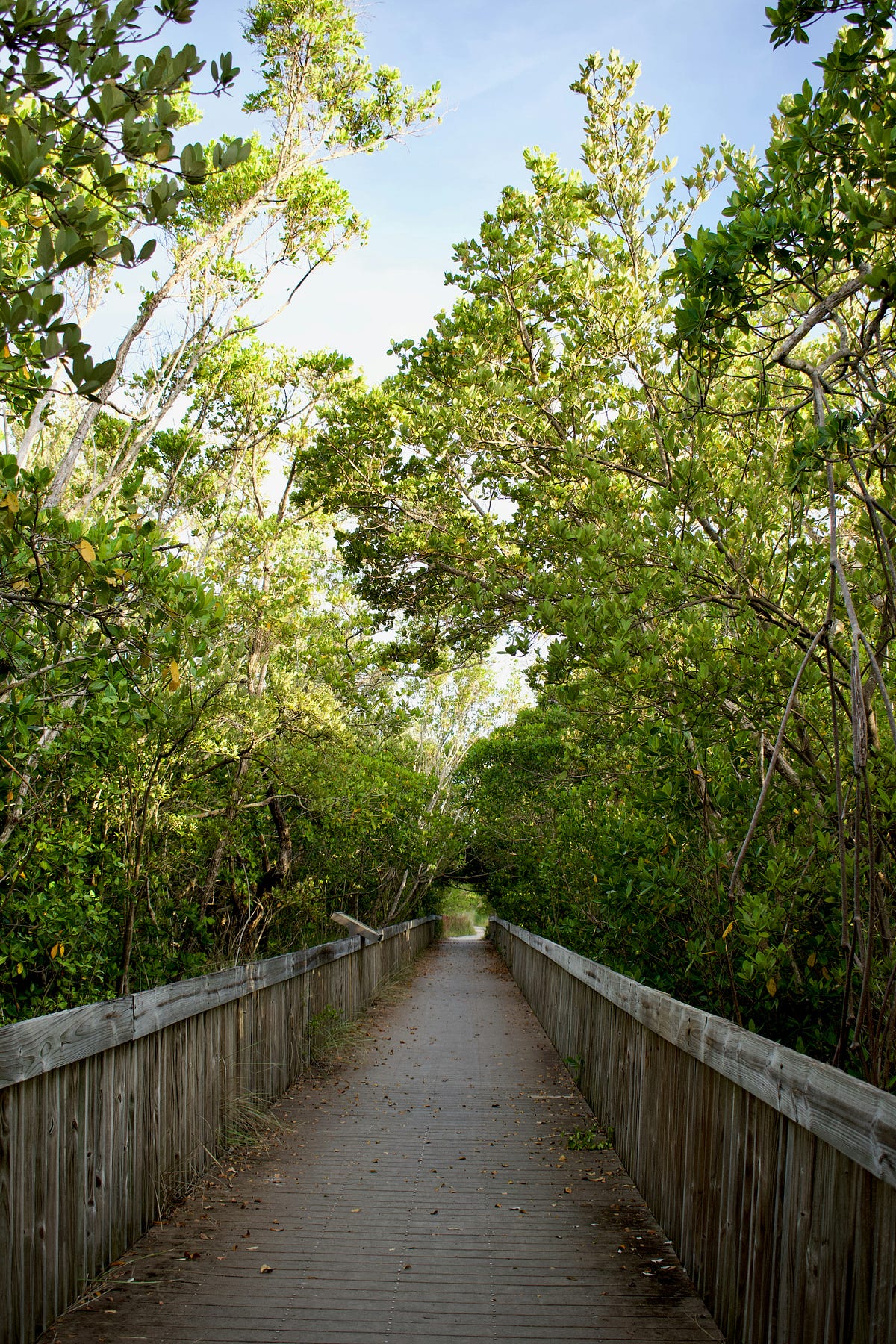 Why Traditional Data Governance is Breaking at Scale — And How ABAC ...