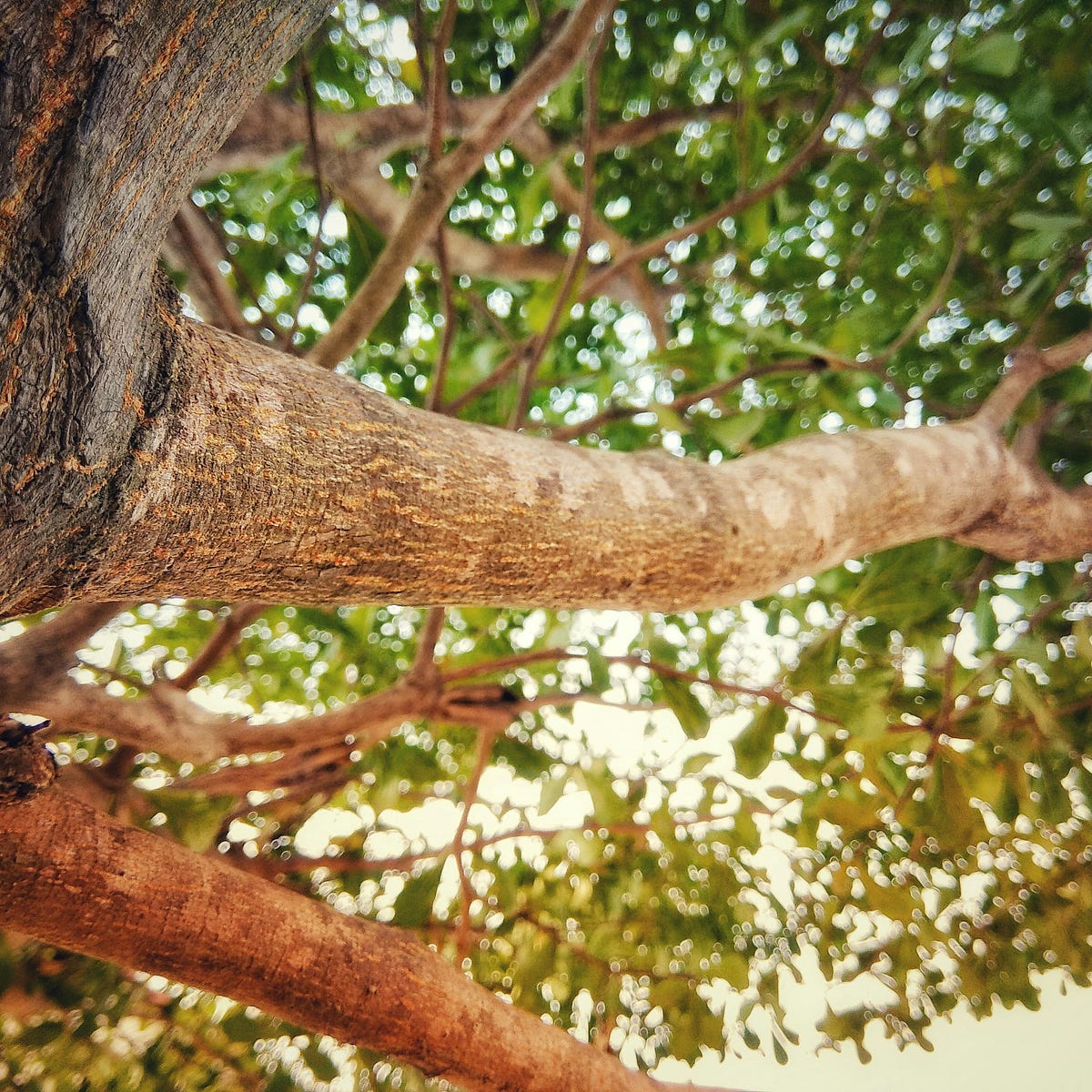 Git Branching Strategies Explained | by Ziga Petek | Level Up Coding