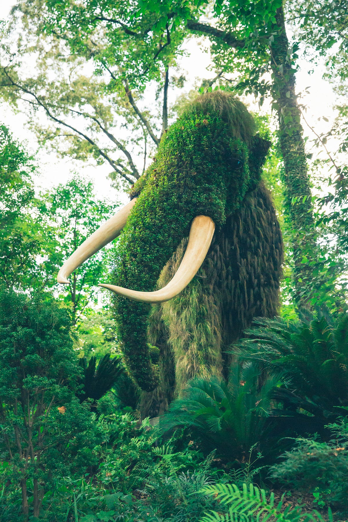 Whatever Happened To Mastodon?. On a mammoth hunt | by John Pearce 🌻🌈🦋🐬 ...
