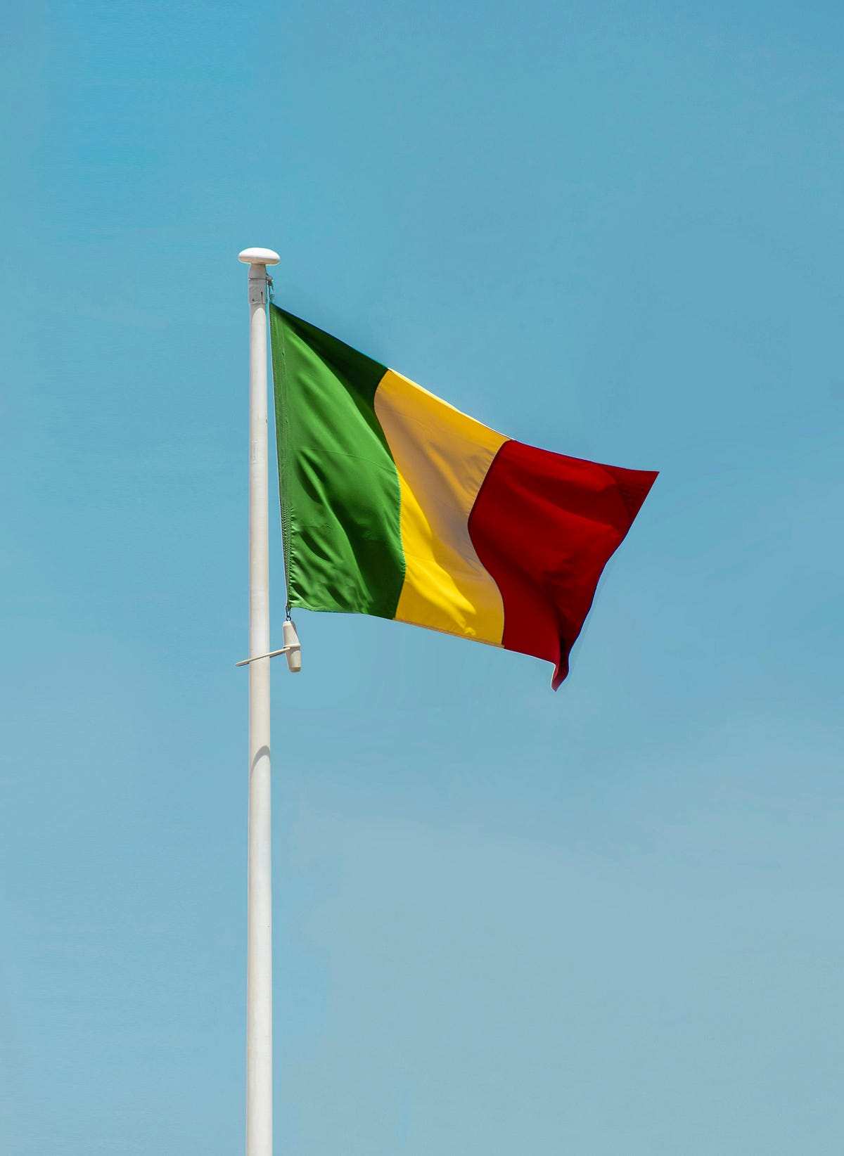 Mandé: A West African Language Family Whose Members Have Contributed ...