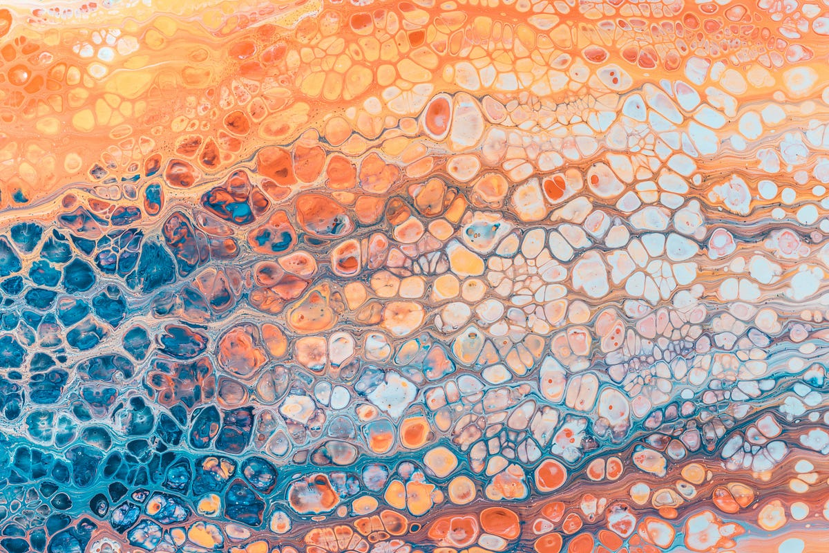 Do You Know What Microchimerism Is? | by Amy Chambers | Medium