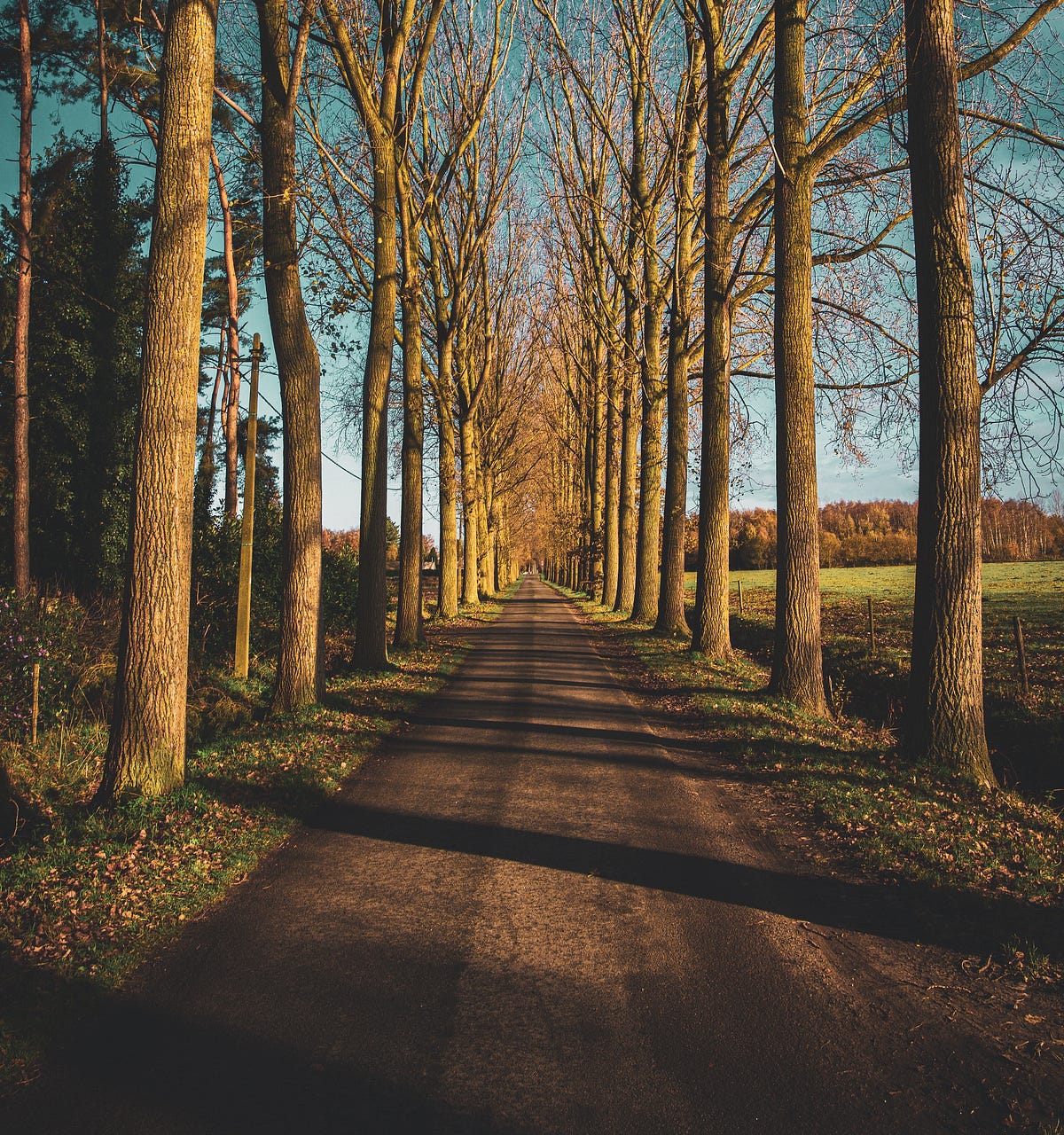 Diary of A Lost Soul — Tommorrow | by The Aberrant Diary Of A Lost Soul ...