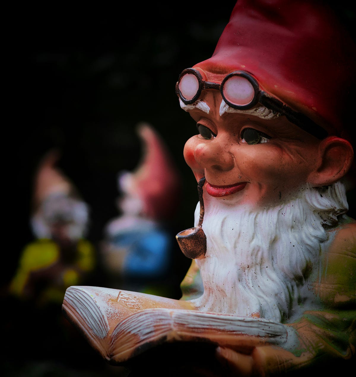 Absolute Gnome Sense. Stop, Drop, and Troll-A Dumpster Fire… | by Anna ...