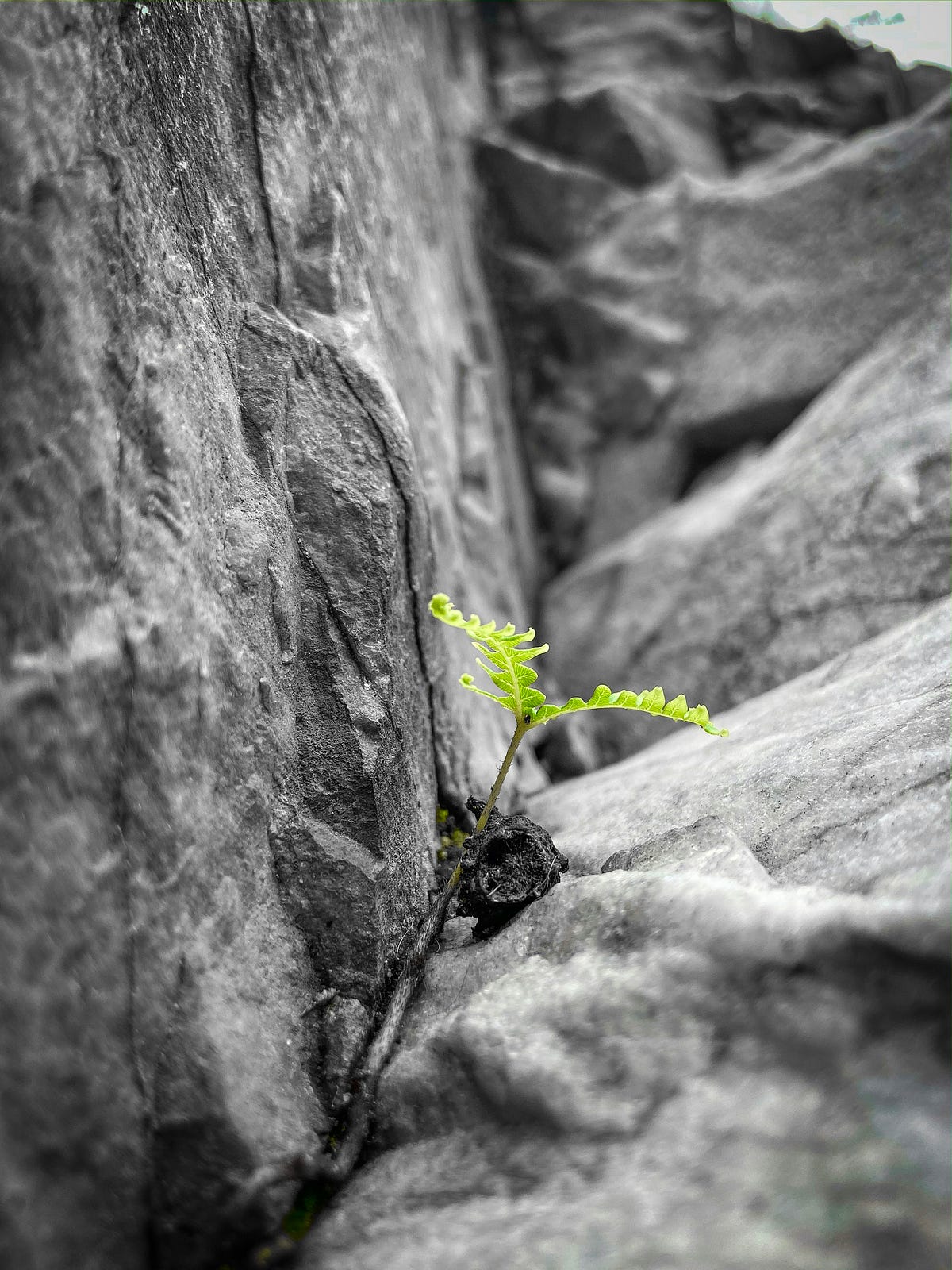 How to stay human in an unforgiving world | by Ayesha Noor | Write A ...