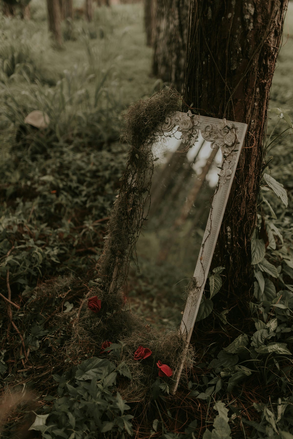 Trauma Or Grief. RW Drabble 2.0.133 |leaf, grief| | by PAUL FLURRY ...