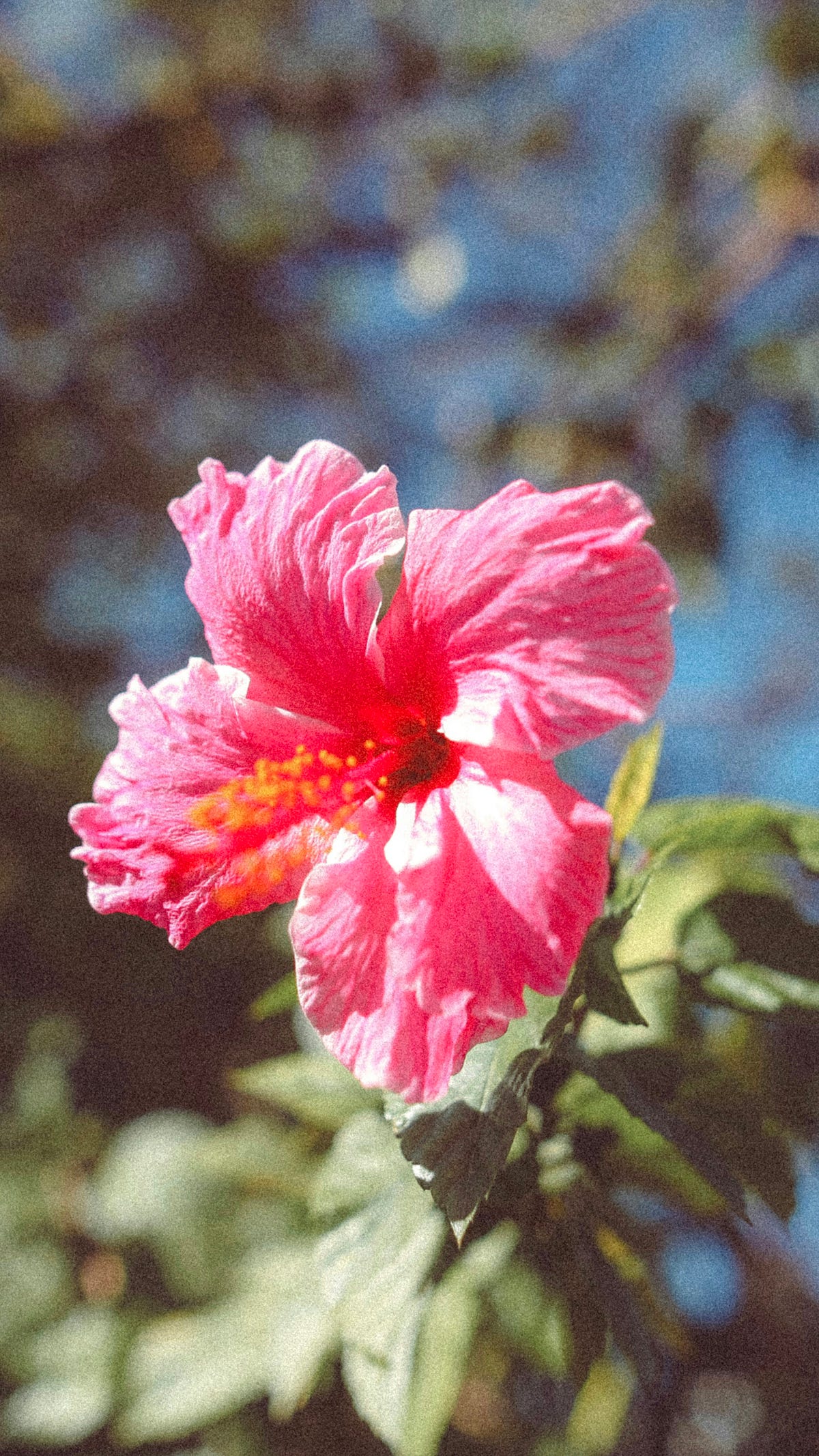 Understanding the Holy Grail Layout — A Beginner-Friendly Guide | by ...