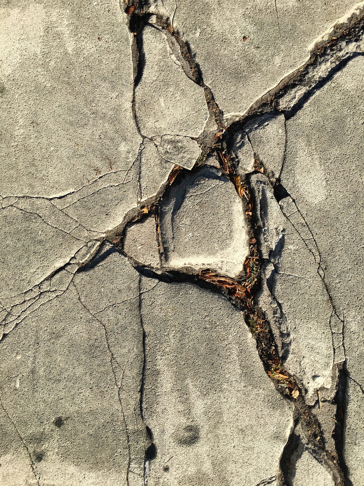 Faultlines — Prose. To tell you the truth, I am scared of… | by Seyda ...