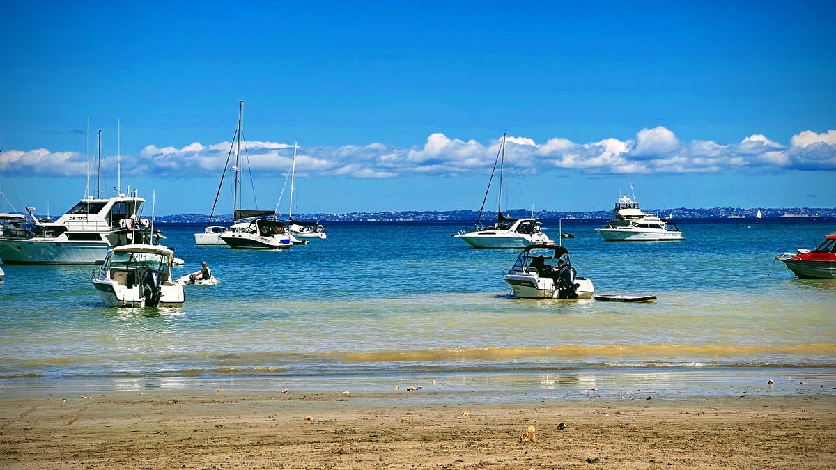 Become a certified Boatmaster with this comprehensive cheat sheet! | by ...