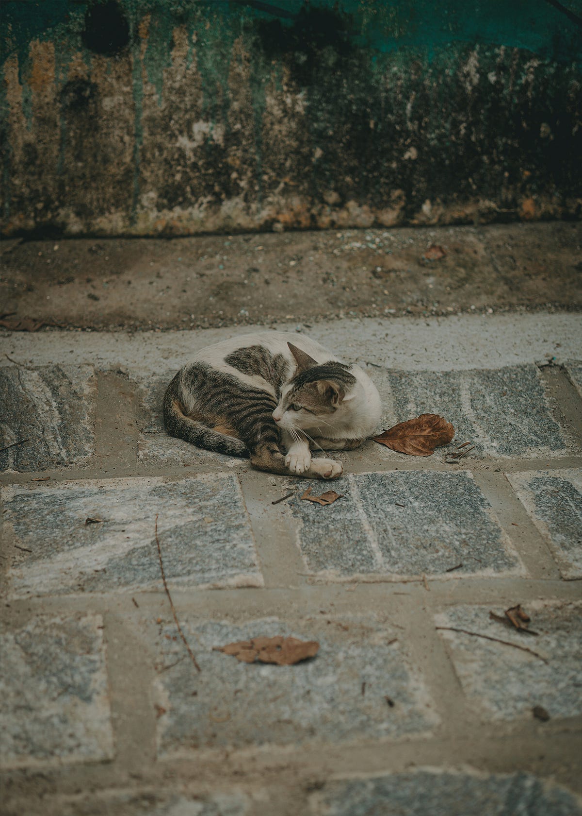 [Algorithm] What is Topological sort? | by Ori | May, 2025 | Medium