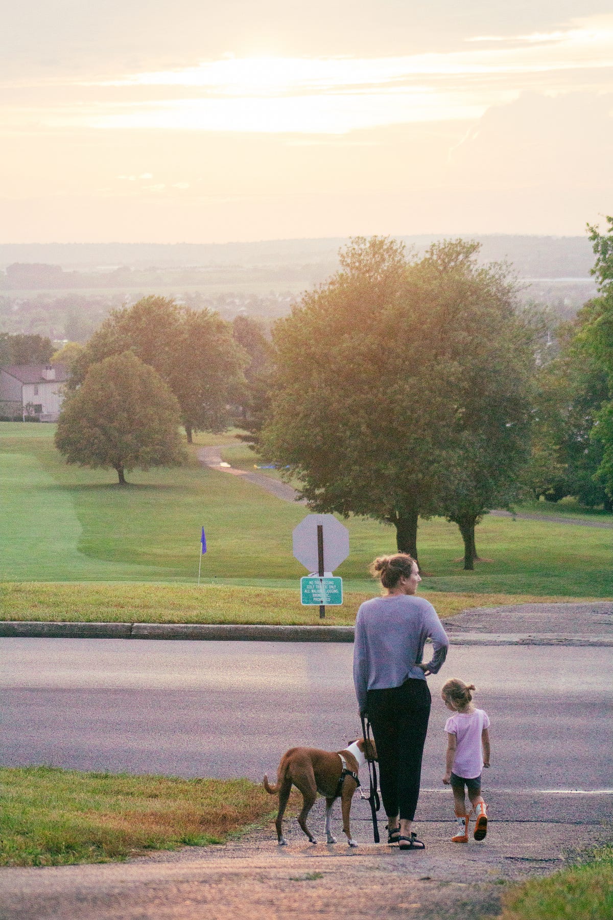 Invisible Leash for Toddlers and Dogs | by Richard Seltzer | Medium