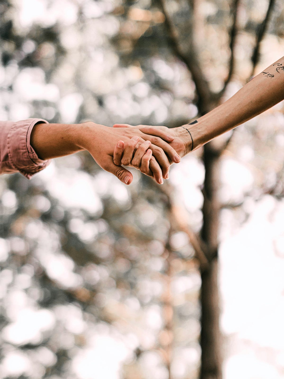 Bearing One Another’s Burdens. Fostering Community Through Compassion ...