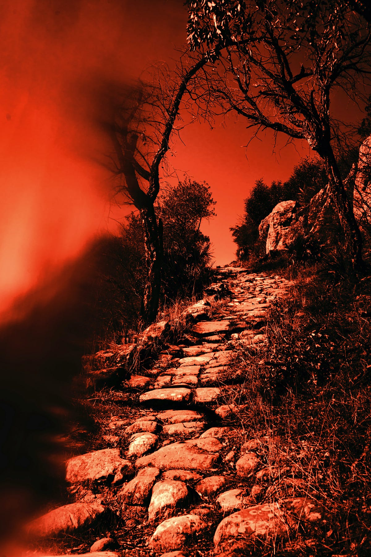 Serpents And Sins: Punishment, Piety, And Vigilance In Dante’s “Inferno ...