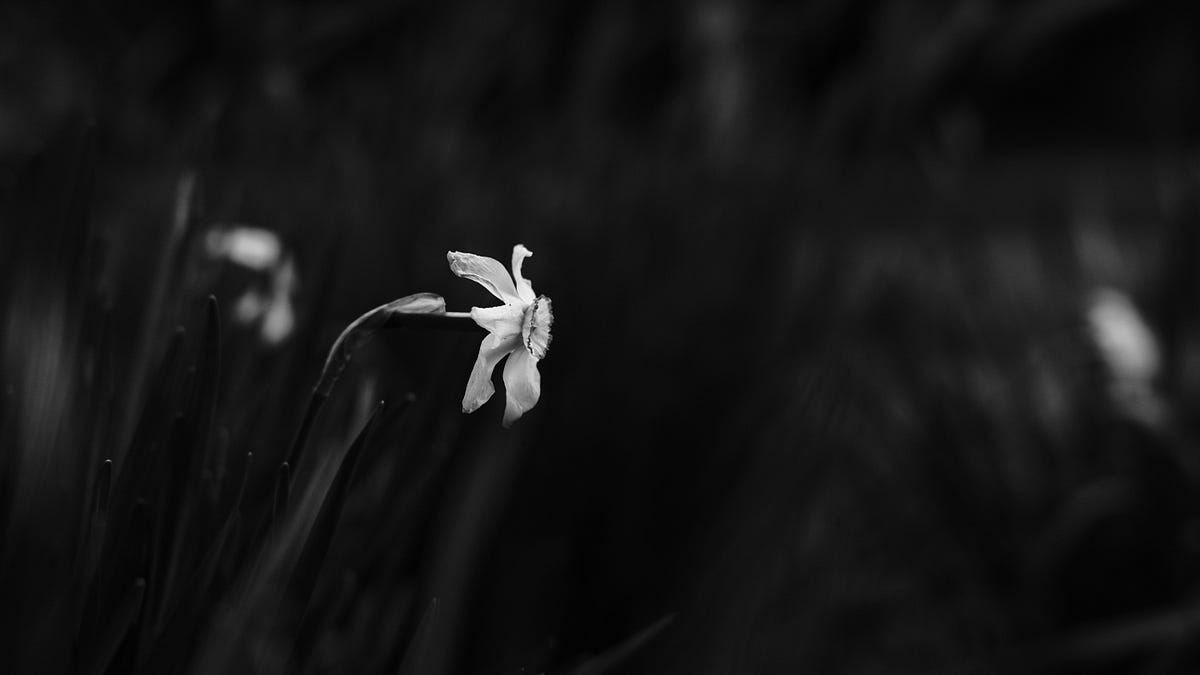 Why People Fail?. Failure is delay, not defeat. | by Hansel Sapkota ...
