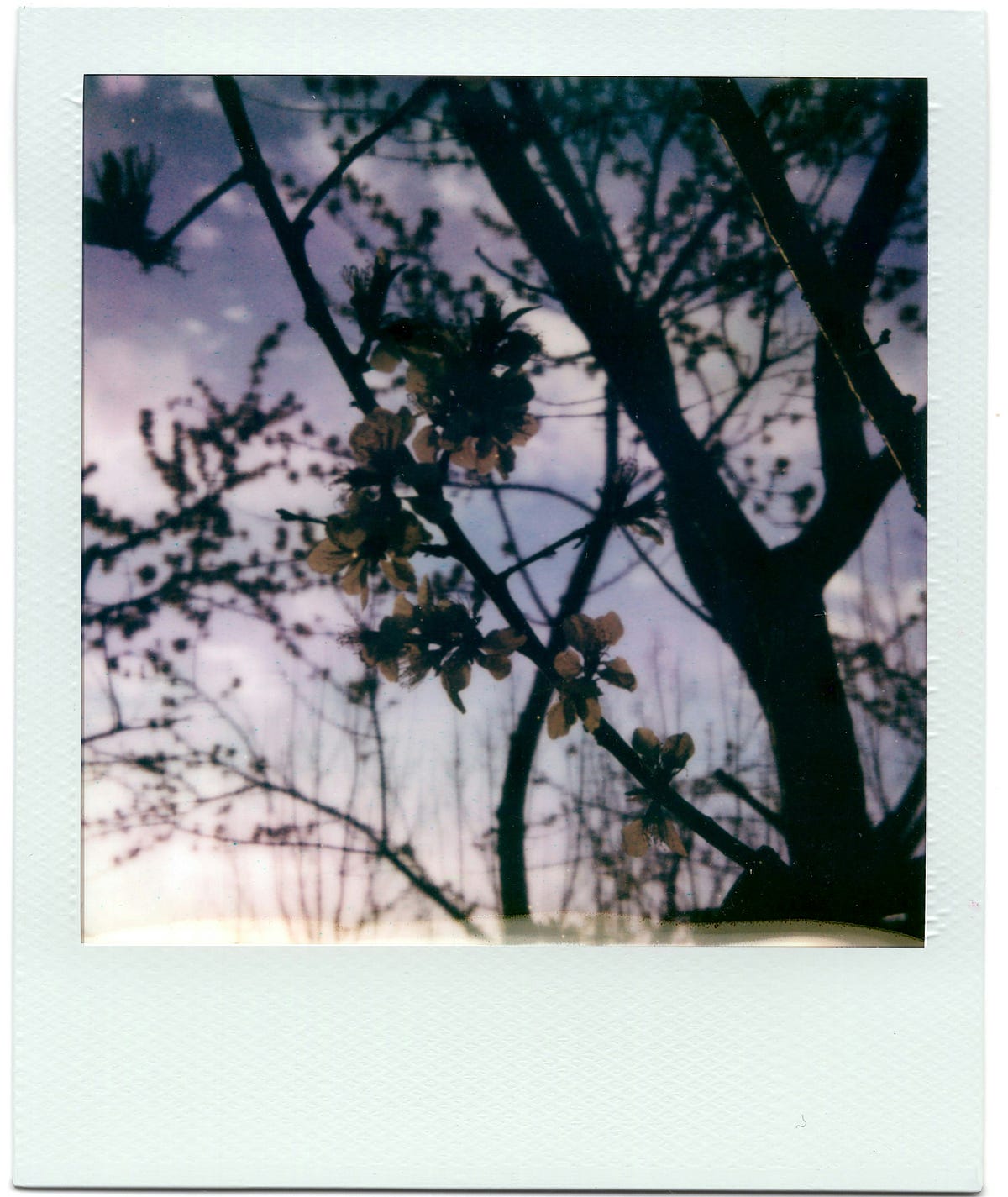 On Insignificance. A surrealist and confessional poem that… | by ...
