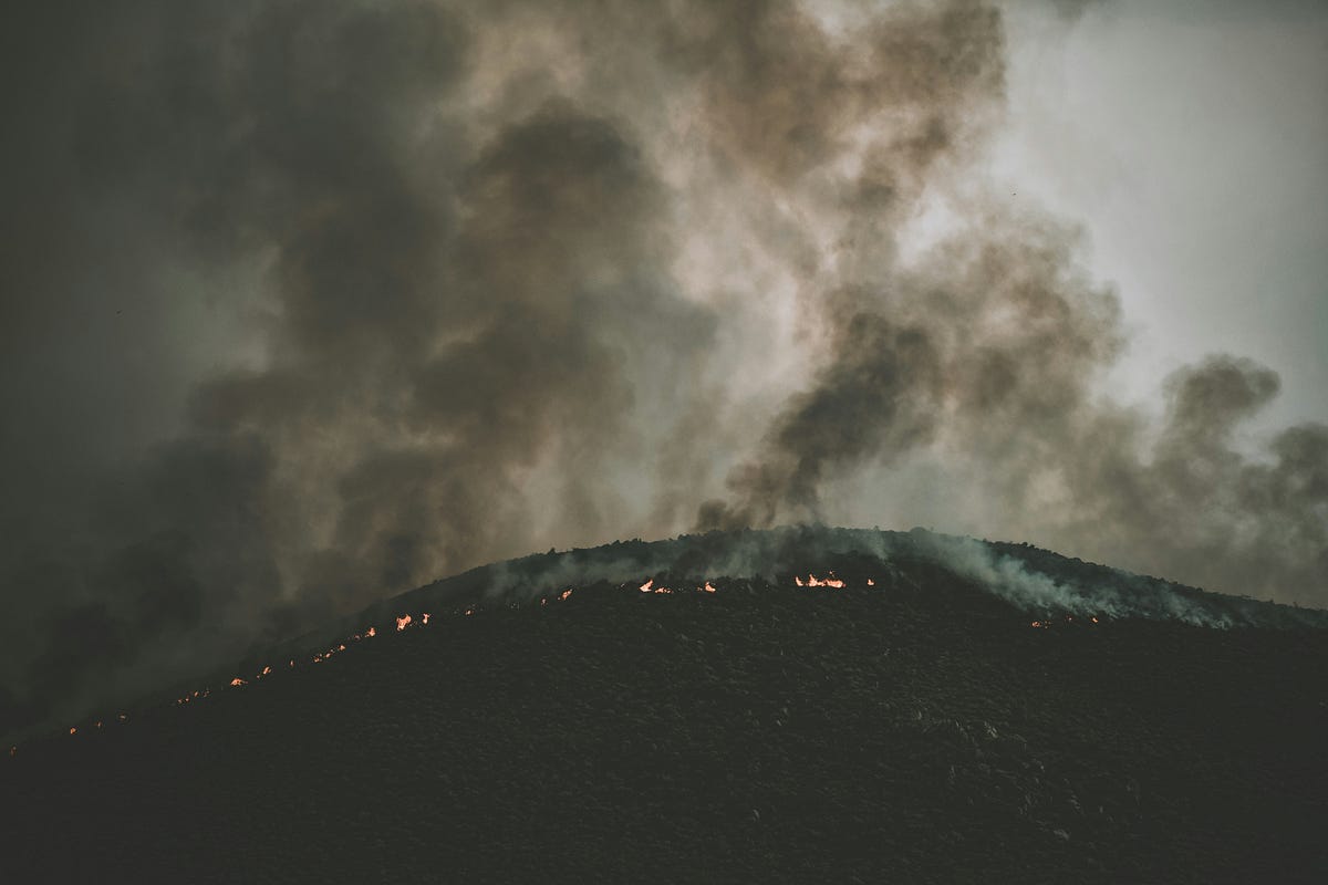 How to Survive a Wildfire. A Basic Preparedness Guide | by Alex ...