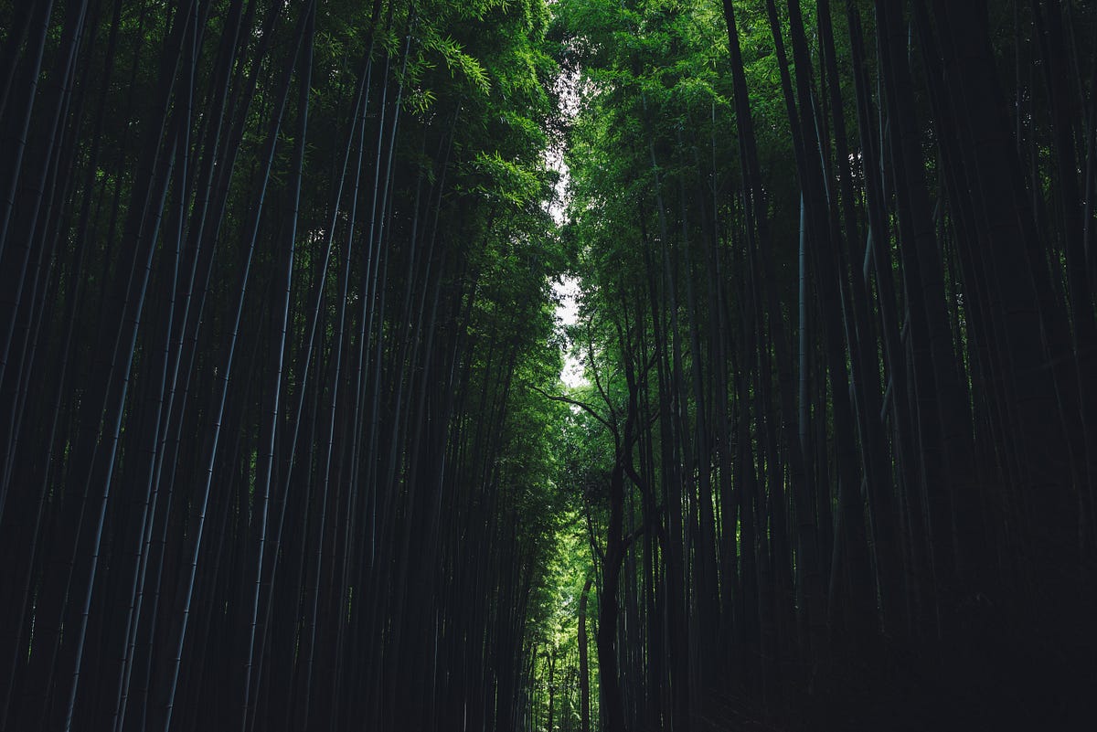 Sparse and Dense Arrays in JavaScript | by Abdullah Sunça | JavaScript ... Sparse and Dense Arrays in JavaScript | by Abdullah Sunça | JavaScript ...