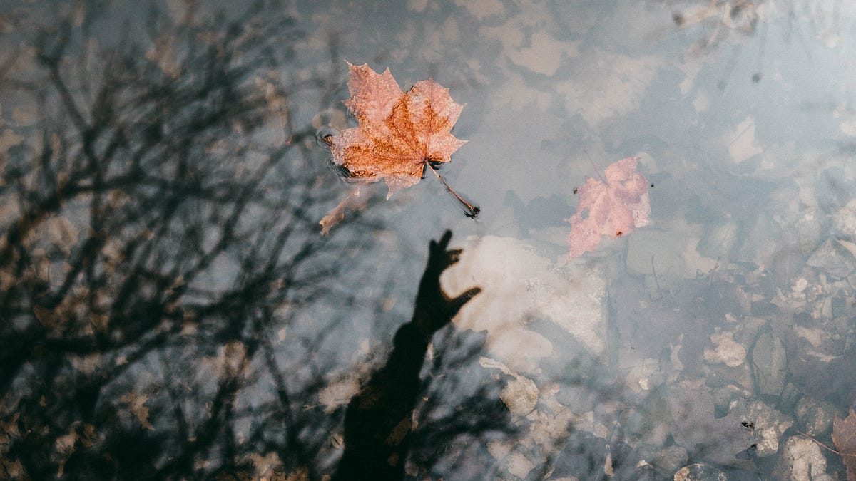 The Leave Taking - Lit Up - Medium