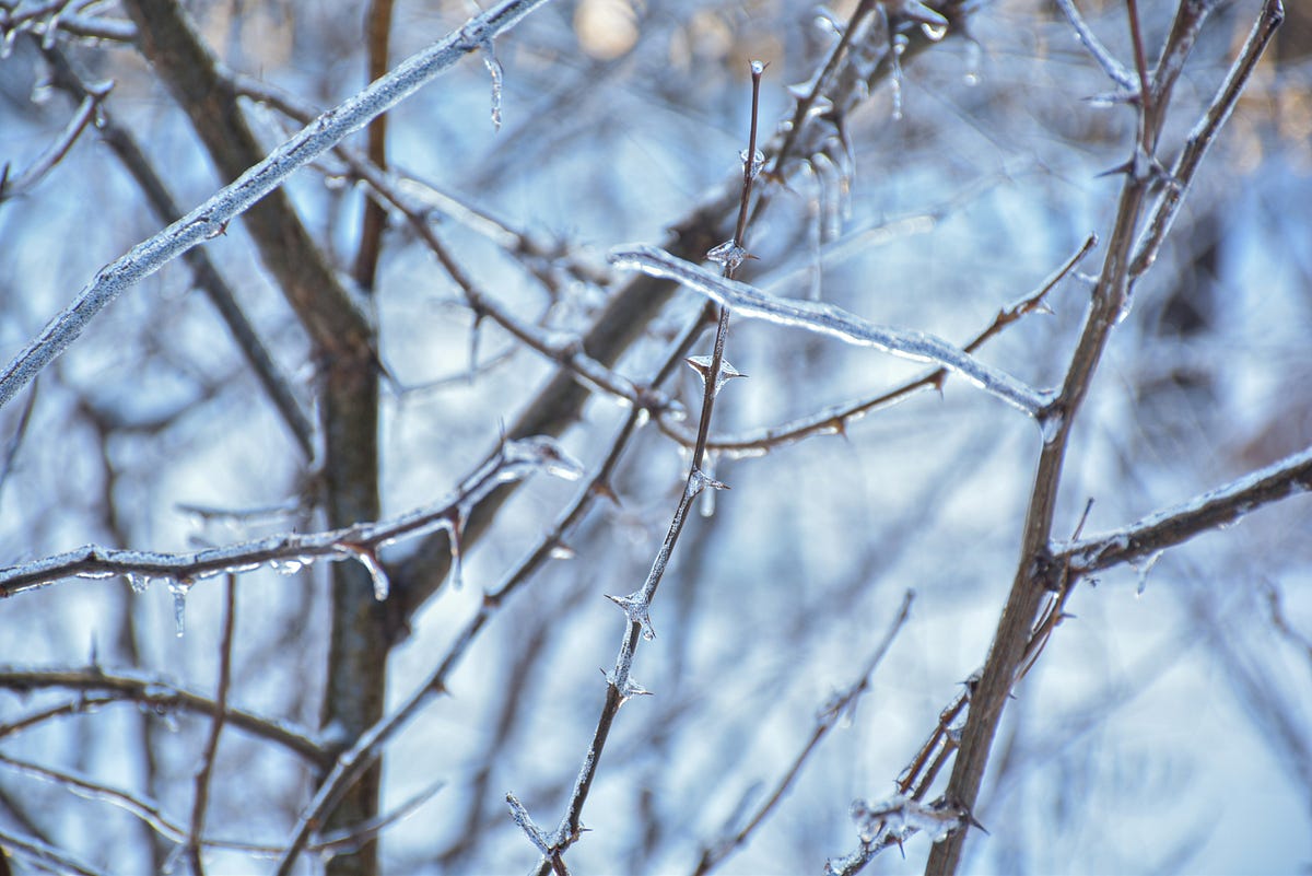 The Drip-Drum of Renewal - Amy Christie - Medium